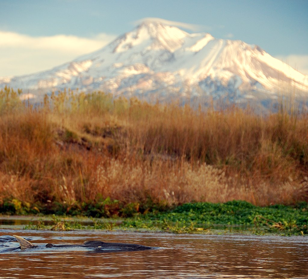 Picture this research – a photo blog from the Center for Watershed ...