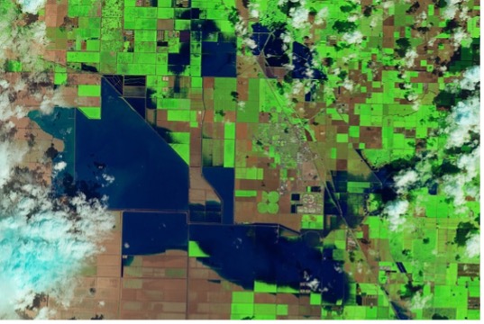 Lake Tulare (and its fishes) shall rise again | California WaterBlog