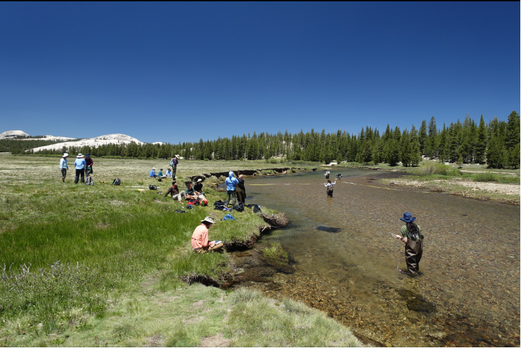 Where are they now: Kelly Neal | California WaterBlog